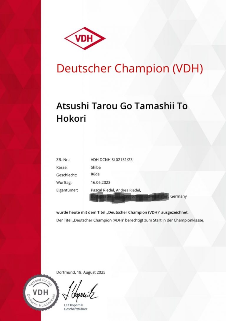 Unser Hiro (A Wurf) wird Deutscher Champion VDH!
